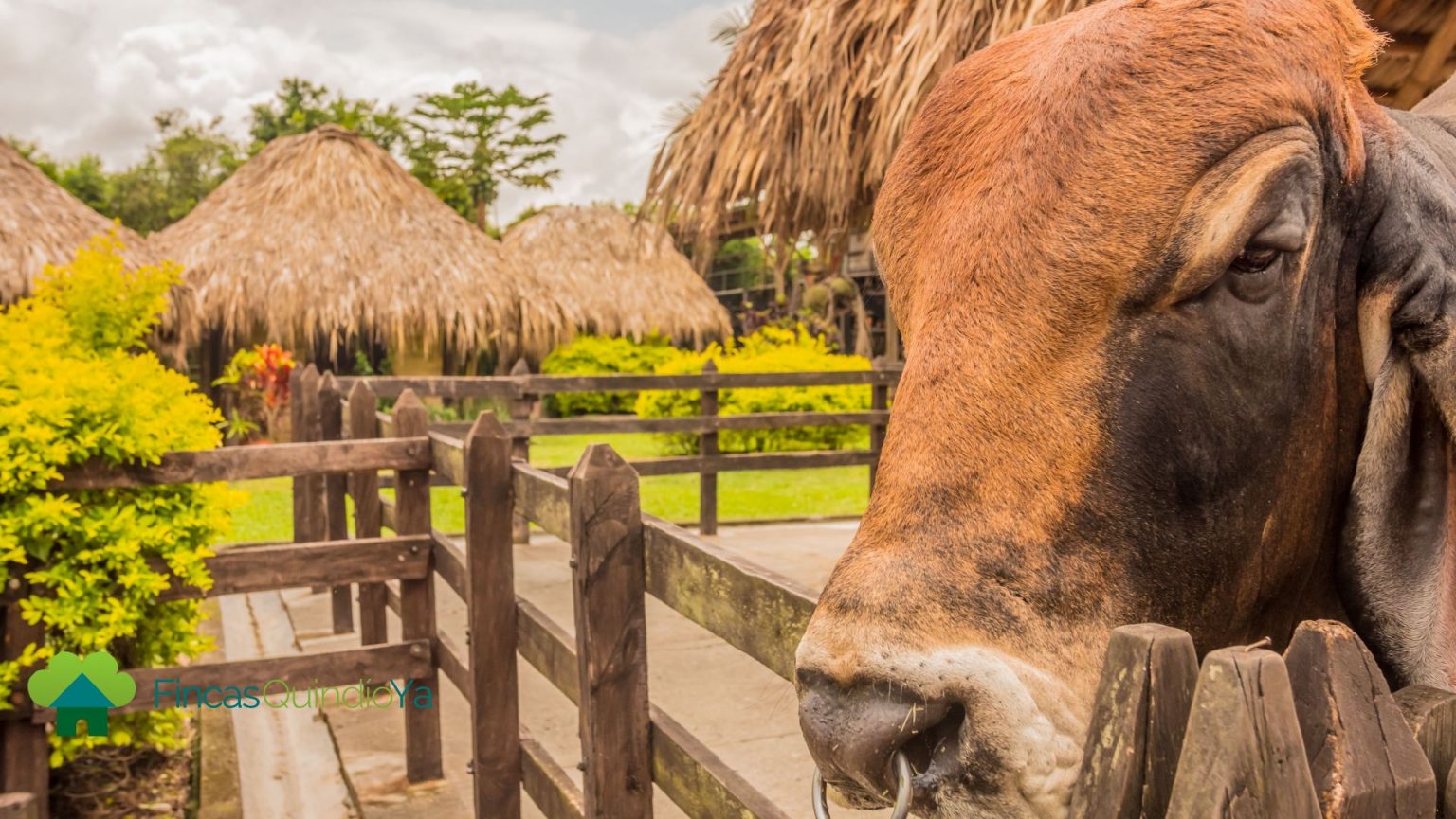 Panaca, Quindio, Parque Temático sobre el Campo Colombiano