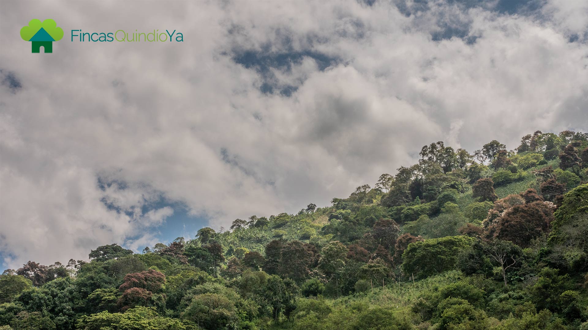 Génova, Quindio, El Pueblito Paisa del Departamento